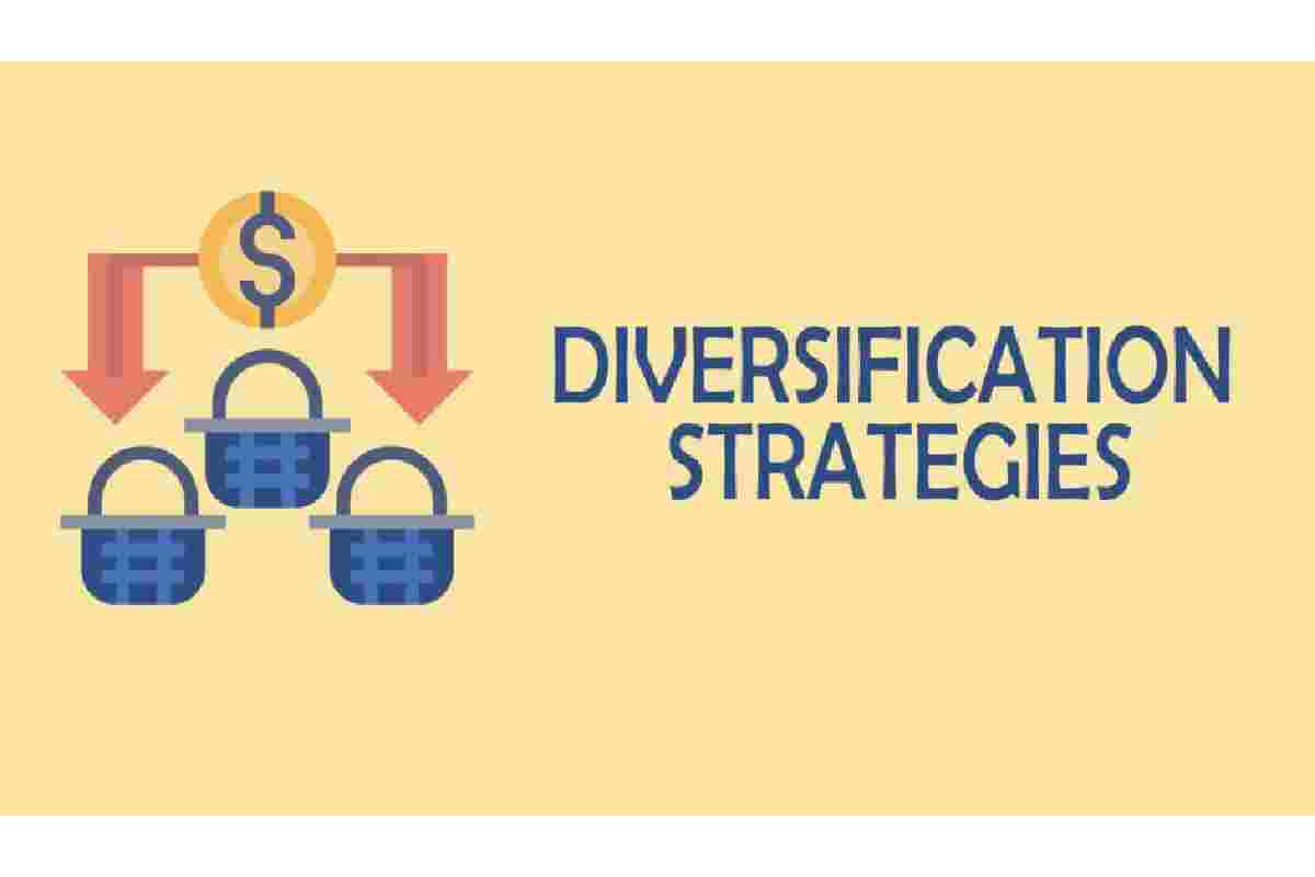 Diversification Strategy - Description and More
